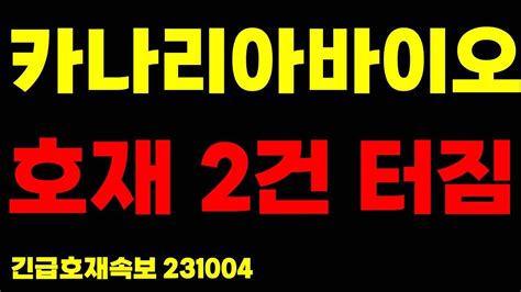 카나리아바이오 ★ 드디어 특급호재 2건 터집니다 영상필수시청 Youtube