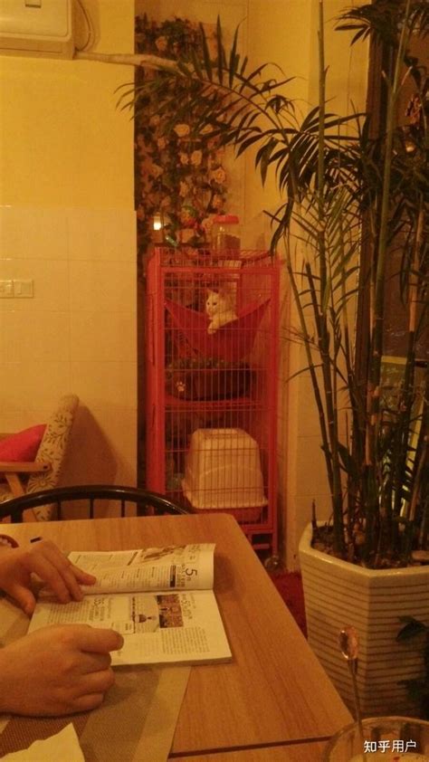 合伙开一家咖啡店的前景怎么样