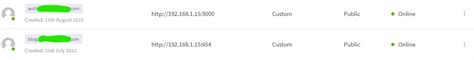 Authentik Routing To Wrong Port Docker Internal Issue