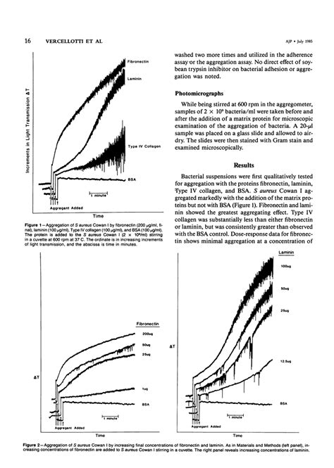 Extracellular Matrix Proteins Fibronectin Laminin And Type Iv Collagen Bind And Aggregate