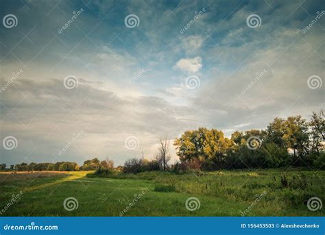 Picturesque Summer Country Field With Grass And Trees Stock Image