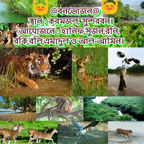 মুসলমান পাড়া ২৪নং ওয়ার্ড মুসলমানপাড়ার কিছু যুবকের উদ্যোগে আগামী