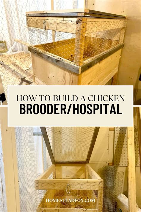 Diy Chicken Brooder Artofit
