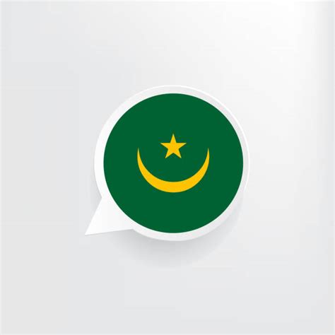 모리타니 국기 일러스트 스톡 사진 및 일러스트 Istock