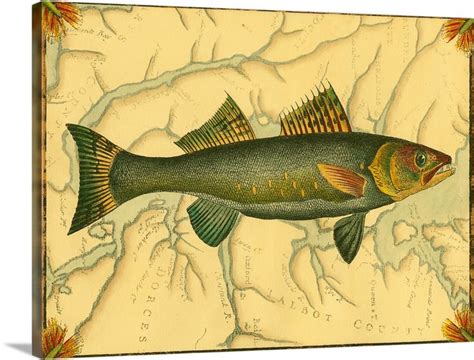 Walleye On Map Map Wall Art Canvas Print Wall Canvas Art Prints