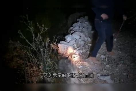 深夜路边传来撕叫声，男子提着手电筒查看，发现一只猛兽！