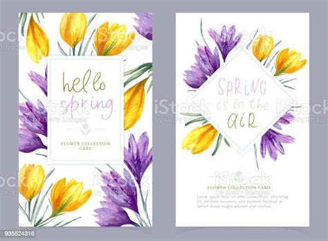 화이트에 블루 바이올렛 노란 크 로커 스 꽃 벡터 꽃 배너 수채화 식물 봄 부활절 배경 카드 세트 웨딩 초대장 개체 그룹에 대한 스톡 벡터 아트 및 기타 이미지 Istock