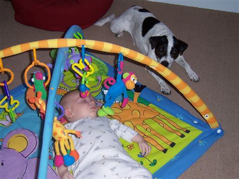 Nap Time Mandy Sladden Flickr