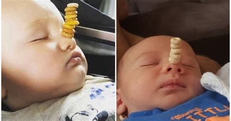 아이 머리에 시리얼 쌓기 미국 강타한 아빠들의 놀이