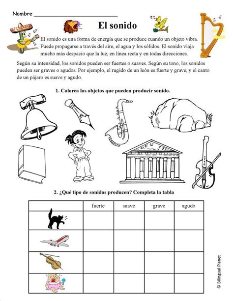 Scienceciencias Actividades De Educación Musical Educacion Musical