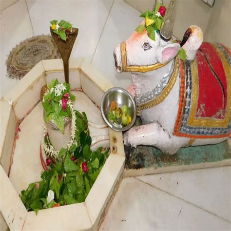 Best Places To Visit In Mainpuri Uttar Pradesh Paramtrip