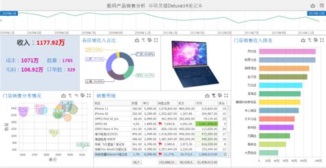第13页 业务分析 销售分析 采购分析 库存分析 数林信息