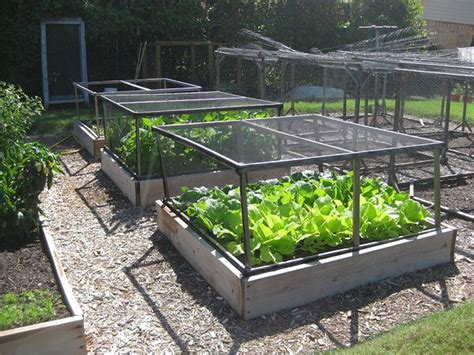 Raised Beds With Pest Covers Garden Pest Control Garden Pests