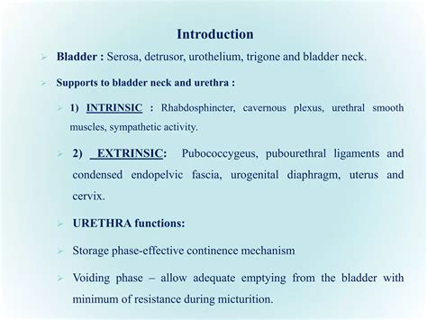 Cystometrogram Storage Phase Pptx