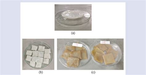 Patch Fabrication From Bacterial Cellulose A Bacterial Cellulose Download Scientific Diagram