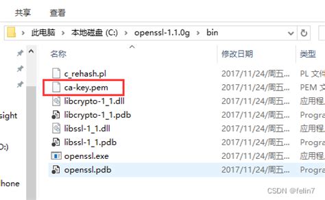 openssl安装 openssl生成私钥以及openssl生成证书 precompiled openssl 安装 CSDN博客