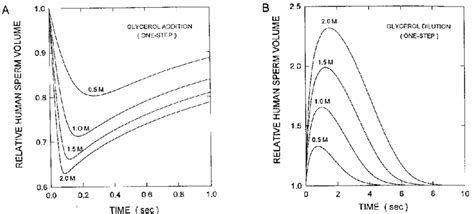 A Calculated Relative Sperm Volume Normalized To The Isotonic Sperm Download Scientific