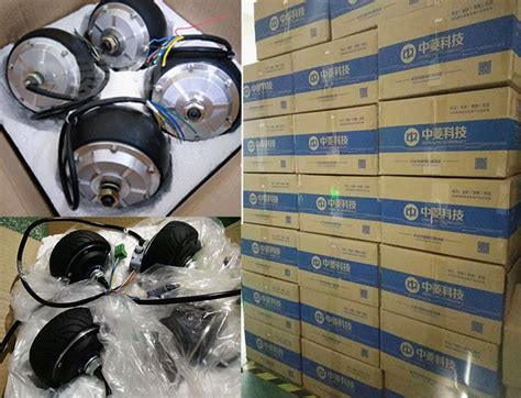 China Zltech Gearless Bldc 48v 800w 10inch 300kg Load 20n M High