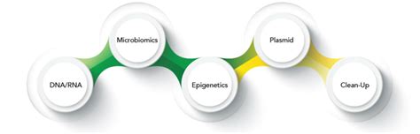 Cambridge Bioscience High Throughput Automated Dna And Rna Extraction