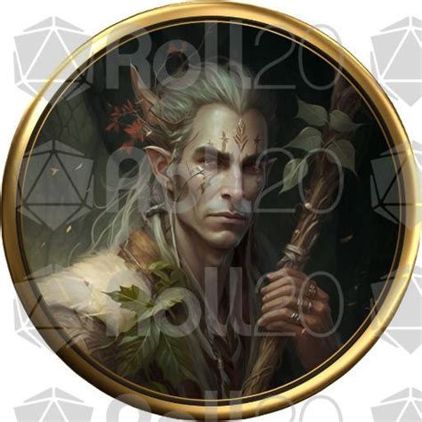 Elf Character Token Pack All Core Classes V1 Roll20 Marketplace