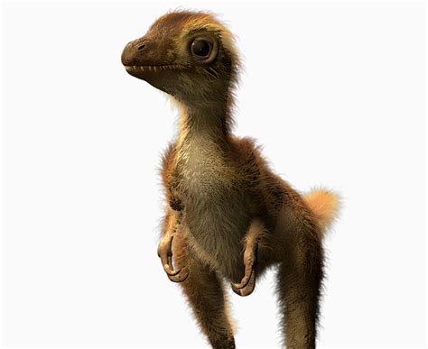 T Rex Had Feathers And Other Surprising Facts About The Popular Predator