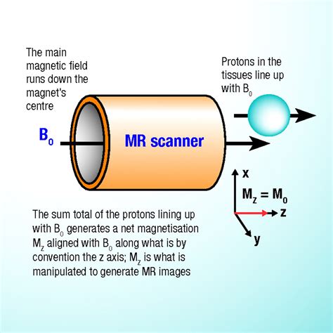 Define Magnetic Resonance At Heather Richards Blog
