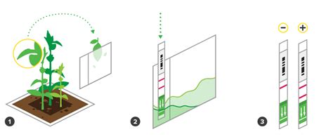 Get High Quality Elisa Enzyme Linked Immunosorbent Assay Life
