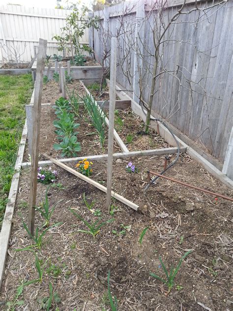 Vegetable Garden Along Fence Hawk Haven