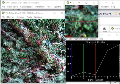 大疆精灵4多光谱 辐射定标 Metashape（原photoscan）大疆精灵p4多光谱操作教程 Csdn博客