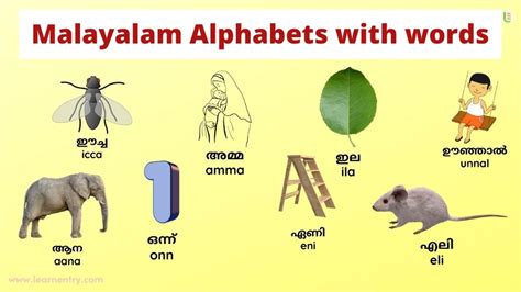 Malayalam Alphabets With Words And Pictures Learn Entry Alphabet