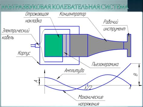 Презентация Ультразвук по физике скачать проект