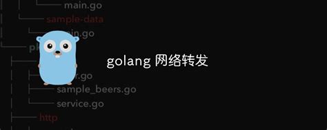 Discuss How To Use Golang To Implement Network Forwarding Golang Phpcn