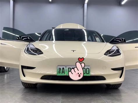 守卫安静特斯拉MODEL3空腔共鸣噪音胎噪路噪解决方案 大白鲨隔音