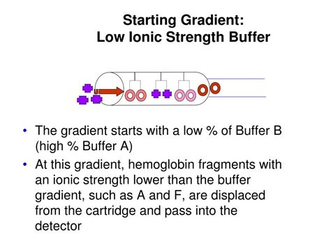 PPT - Hemoglobin Electrophoresis PowerPoint Presentation, free download - ID:4824777