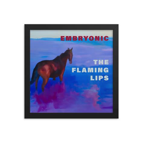 Embryonic By The Flaming Lips Framed Poster Etsy