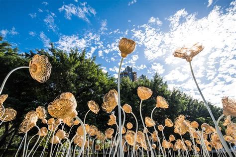 The Thank You Bouquet Art Installation Parametricarchitecture Installation Art Bamboo Art