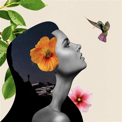 Editorial • The Daily Splice