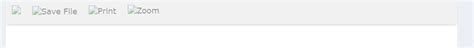 After Updating To Asp Net Core Report Icon Is Bugged Issue