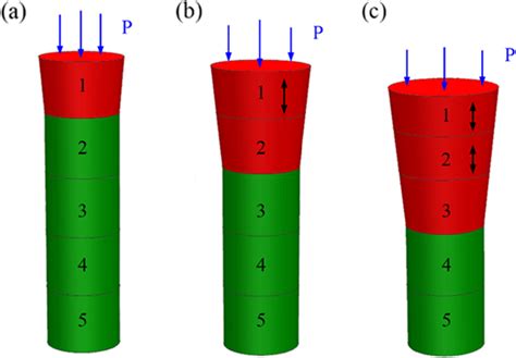 Deformation And Force Propagation Model In A Cylinder Download