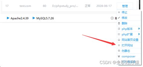 配置php环境：使用小皮面板创建网站 Csdn博客