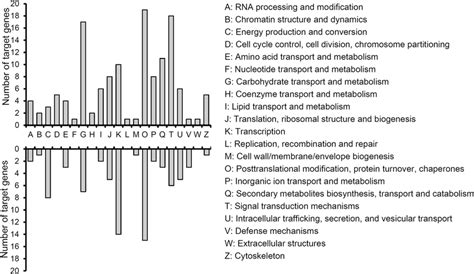 The Function Category Of Kog Annotation For The Targets Of