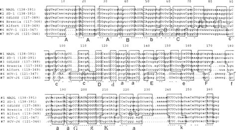 Figure 6 From An Rna Pseudoknot Is An Essential Structural Element Of