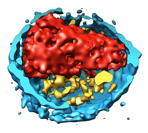 ucsf chimera tutorials