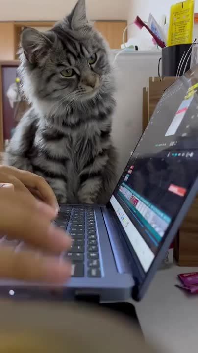 Rahul Gupta On Linkedin Learning Learninganddevelopment Learndigitalmarketing