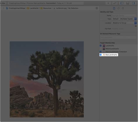 Creating A Macos App Williewangwei Swiftui Tutorials Wiki Github