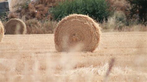 Cooperativas De Castilla La Mancha Sitúa En Los 45 Millones De