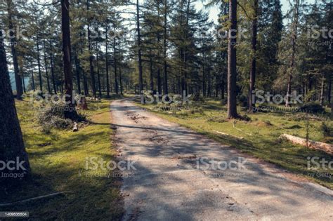 산의 한가운데있는 돌 도로와 태양이 나무를 통해 들어옵니다 0명에 대한 스톡 사진 및 기타 이미지 0명 거리 경관