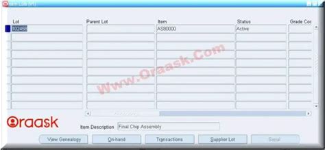Api To Create Lot Number In Oracle Apps R12 Oraask