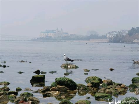 七月在海边随意写写 哔哩哔哩