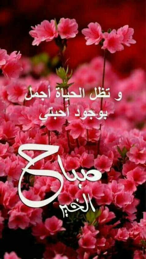 Pin by Ange mouna on en arabe Bonjour bonne soirée Good morning